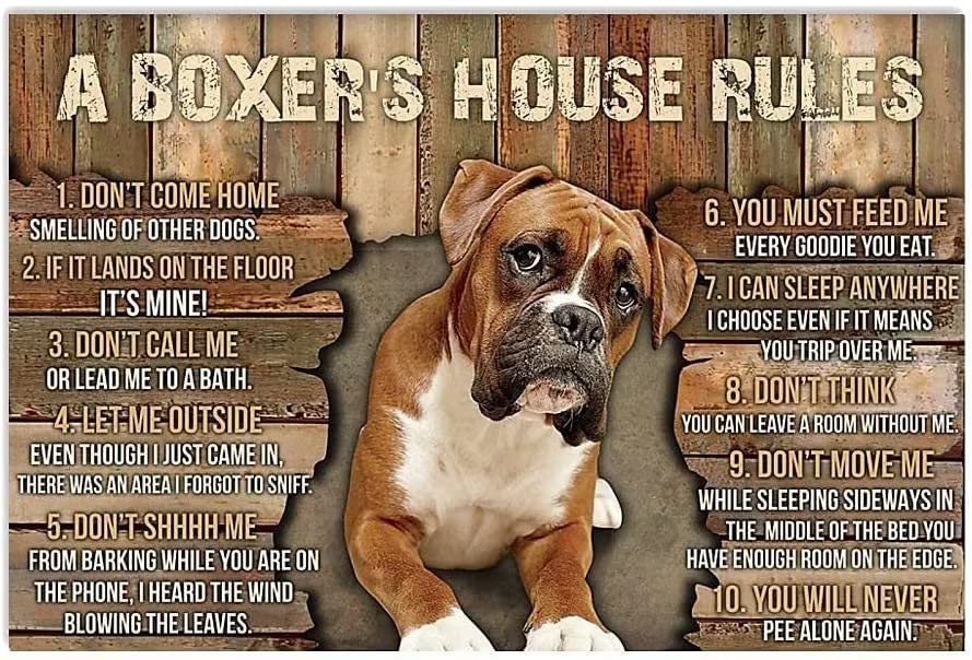 Boxers Rule