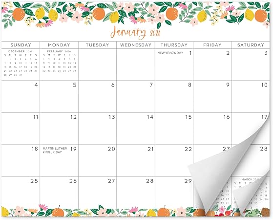 Amazon.com: S&O Fruity Magnetic Fridge Calendar from January 2026-June ...
