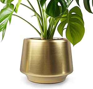 Amazon.com : Gold Indoor Plant Pot 7 Inch Large Ceramic Planter With ...