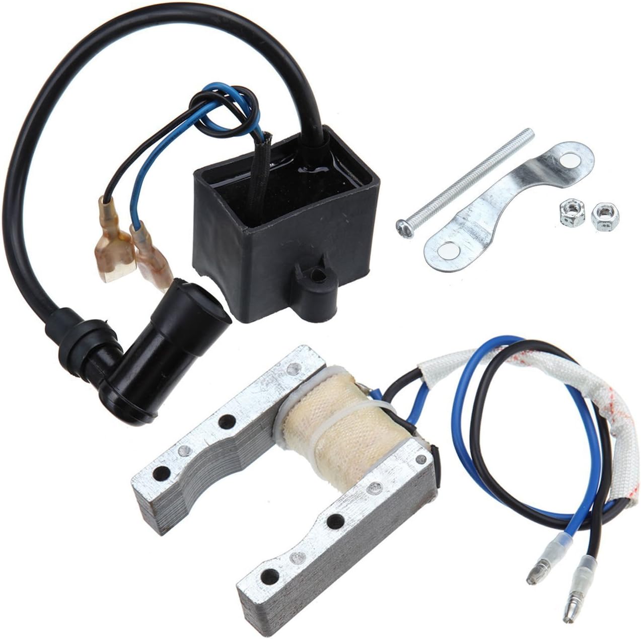 Amazon.com: CDI Electron Ignition Coil and Magneto Loop Set Replacement Set