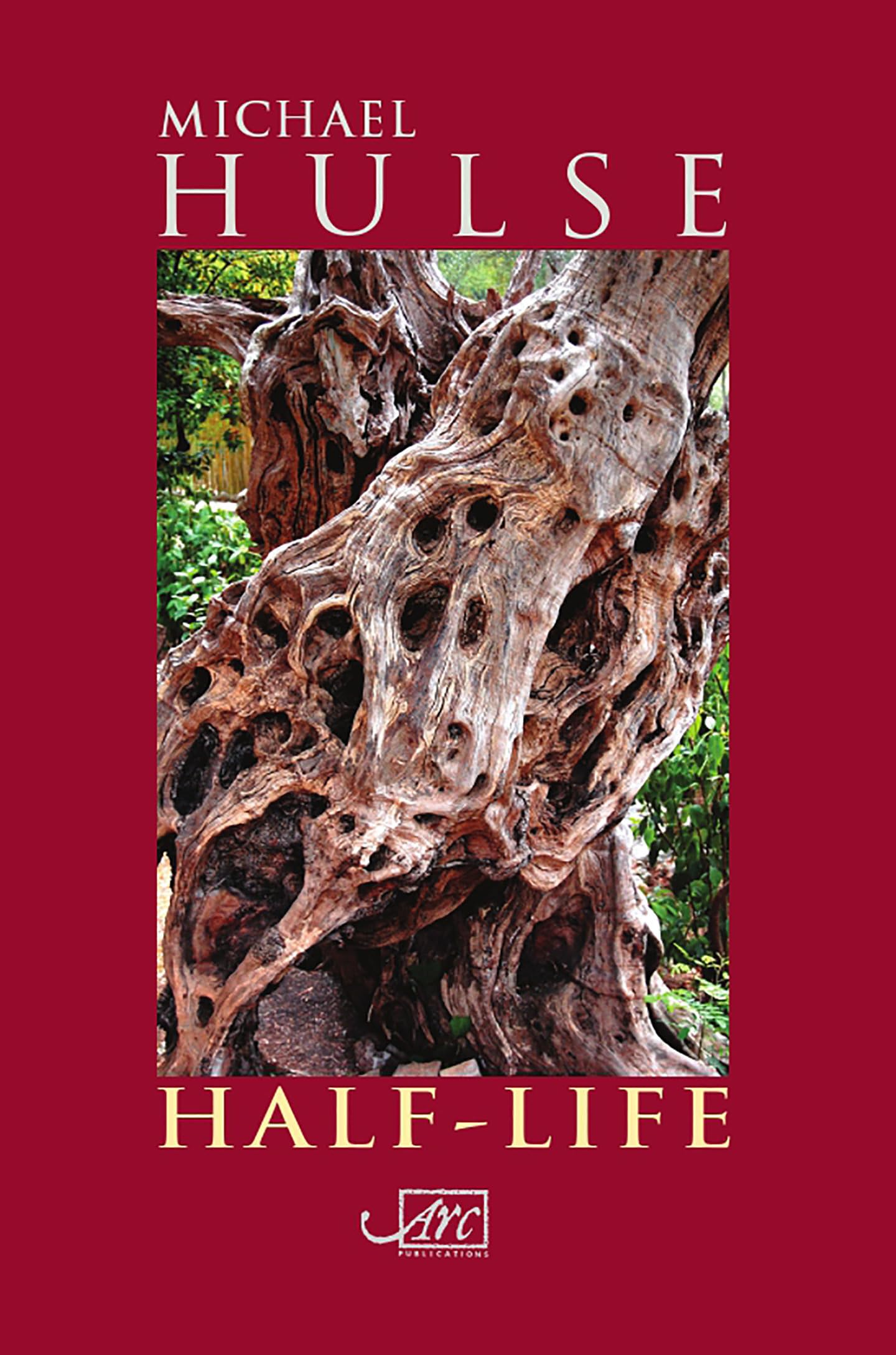 Half-Life: Michael Hulse: 9781908376206: Amazon.com: Books