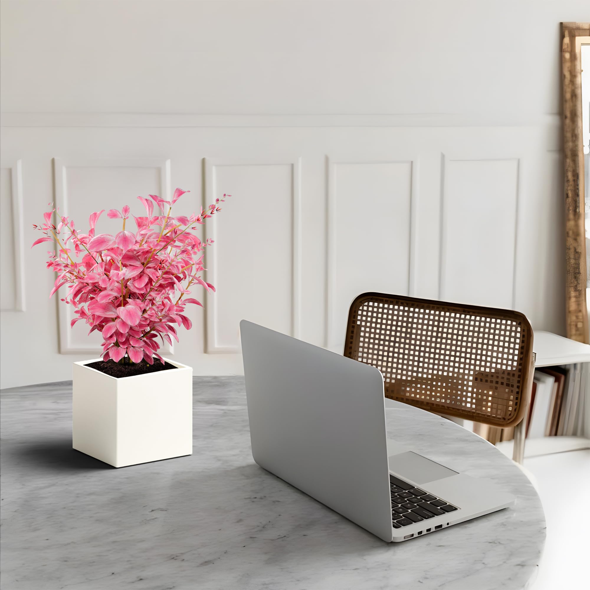 YUCCABE ITALIA FOXB Cubo 6 INCH Cube Pots for Plants Highly Durable ...