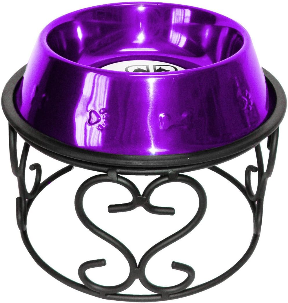 Platinum Pets 64-Ounce Single Diner Stand, Electric Purple : Amazon.ca ...