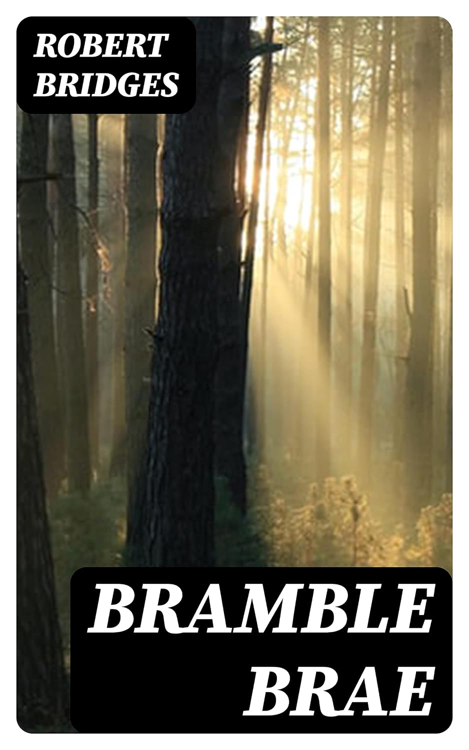 Bramble Brae - Kindle edition by Bridges, Robert. Literature & Fiction ...
