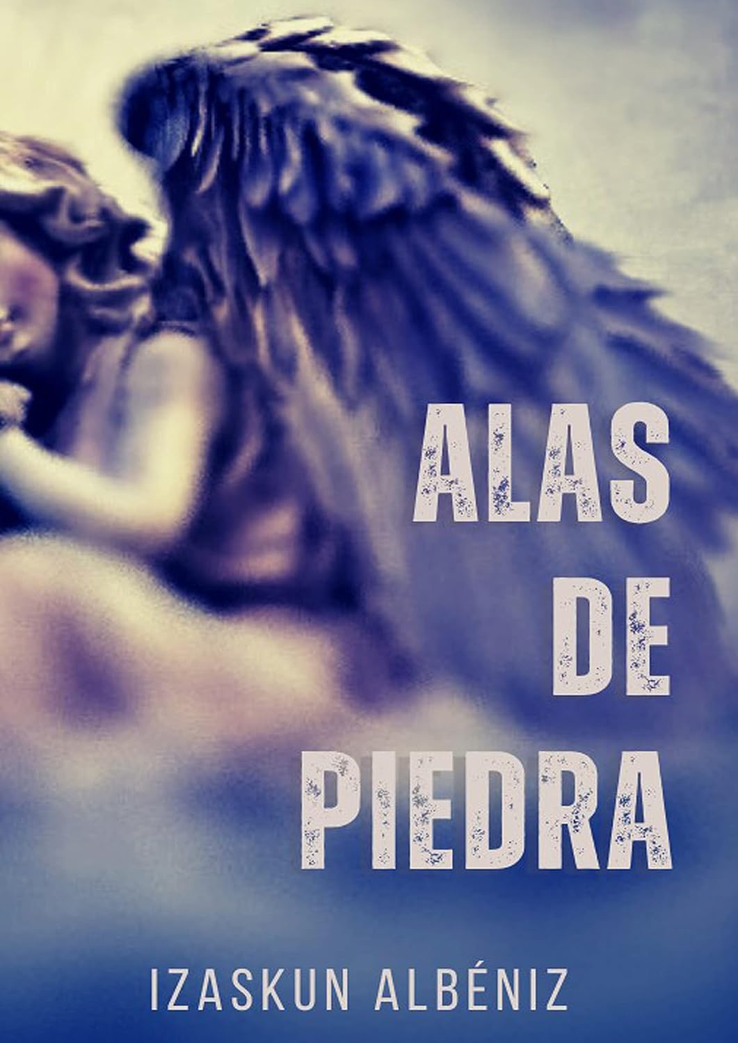 Alas de Piedra (Spanish Edition) eBook : Albéniz, Izaskun: Amazon.co.uk ...