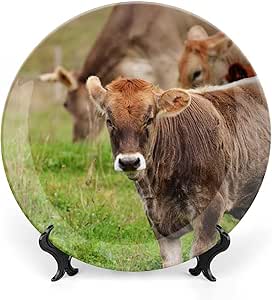 Amazon.com: Decorative Plate for Wall Hanging, Cows Cute Farm Animal ...