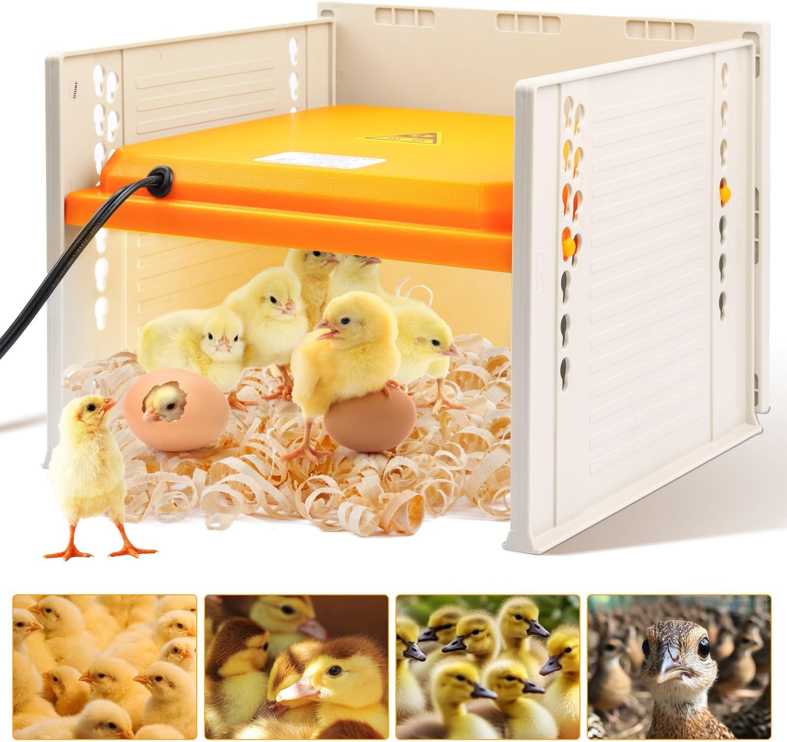 Amazon.com: Chicken Brooder Heating Plate 10" X 10", Adjustable Height ...