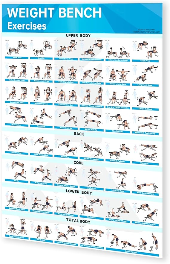 Amazon.com : Fitness Bench Poster Adjustable Benches Poster : Sports ...