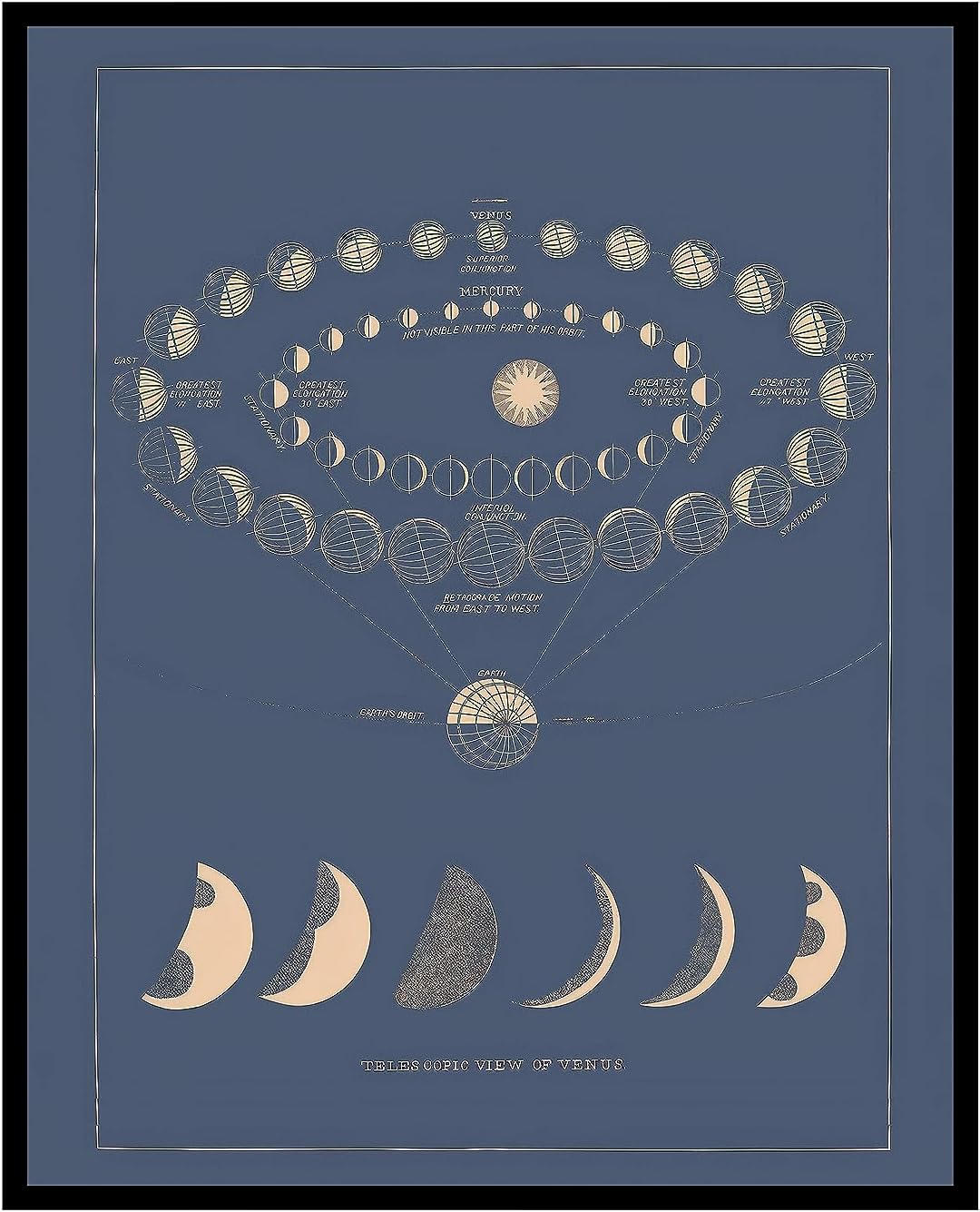Amazon.com: Poster Master Astronomy Moon Phases Wall Art Print, 16x20 ...