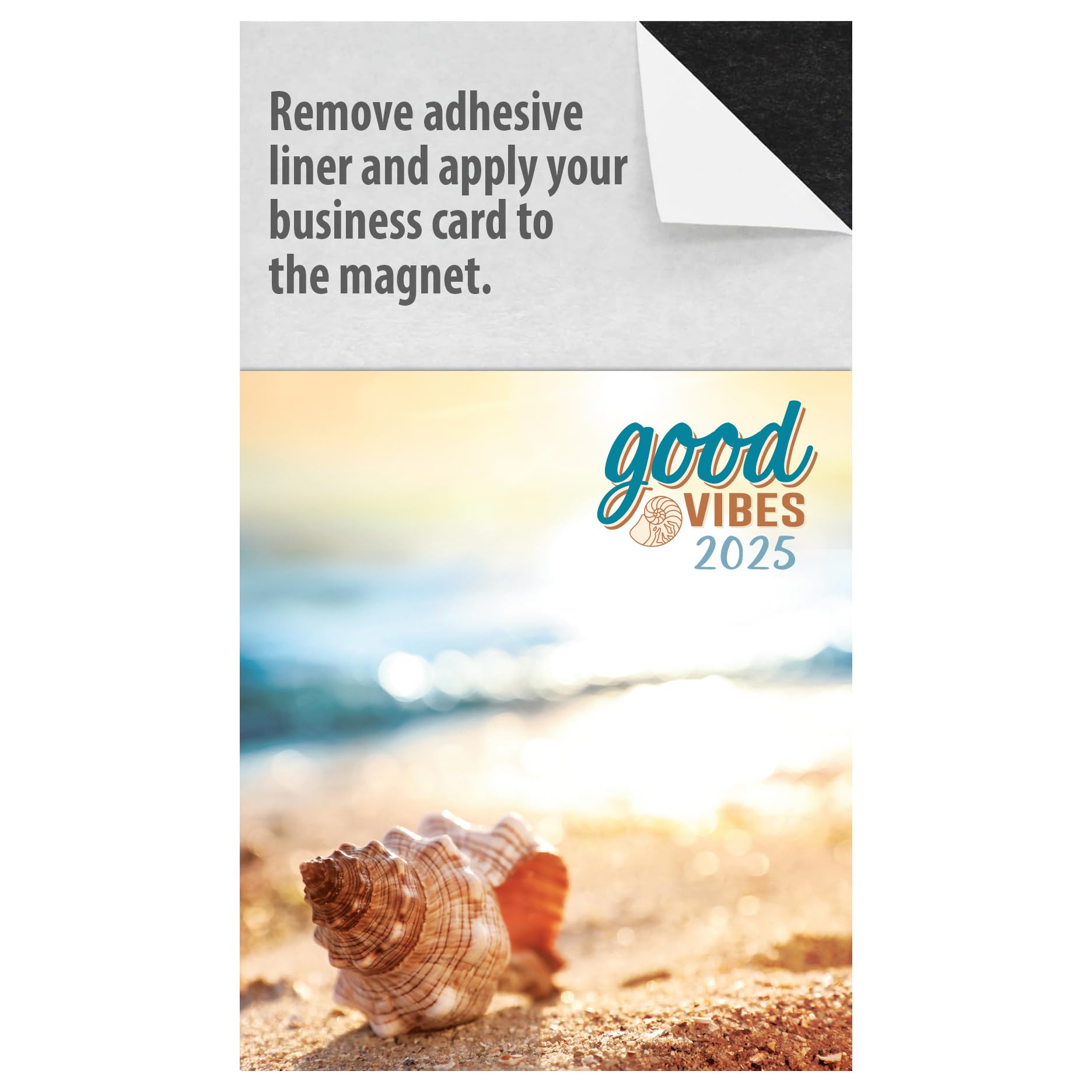 Sticky Calendars Business Card 2026 14 Month Press N Stick Calendar