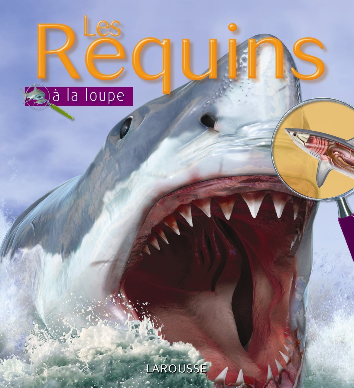 Buy Les Requins: Collection Encyclopedie De Jeunesse Book Online at Low ...