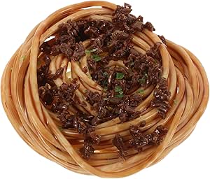 Amazon.com: LUOZZY Artificial Spaghetti with Meat Sauce Fake Pasta Food ...