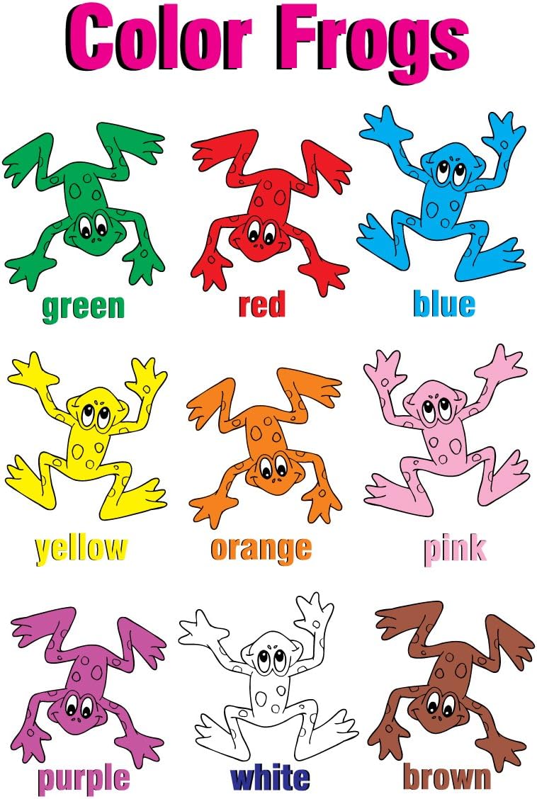 Amazon.com: Educator Color Frogs Laminated Chart