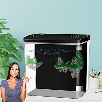 VAYINATO® Mini Square Shape Aquarium Small Desktop With Mini Mountain ...