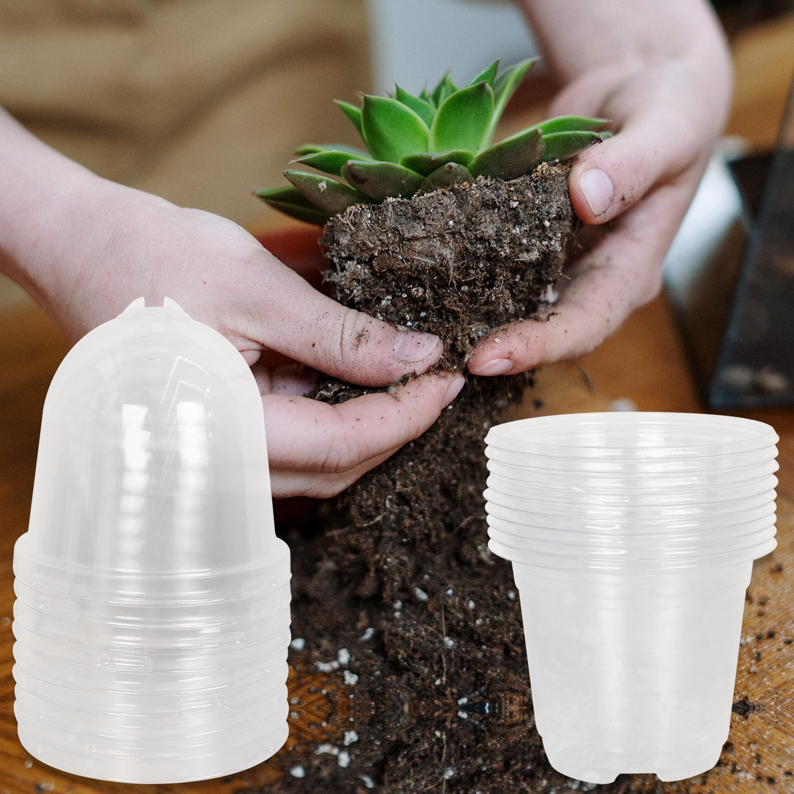 Seed Growing Containers Clear 4 Pack) New Seed Starting Trays 3x4 Cell