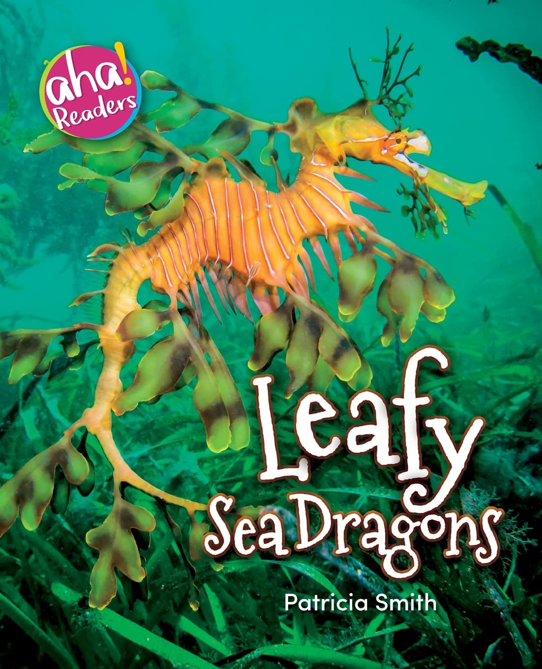 Leafy Sea Dragons (Aha! Readers): Smith, Patricia, Mitten, Luana K ...