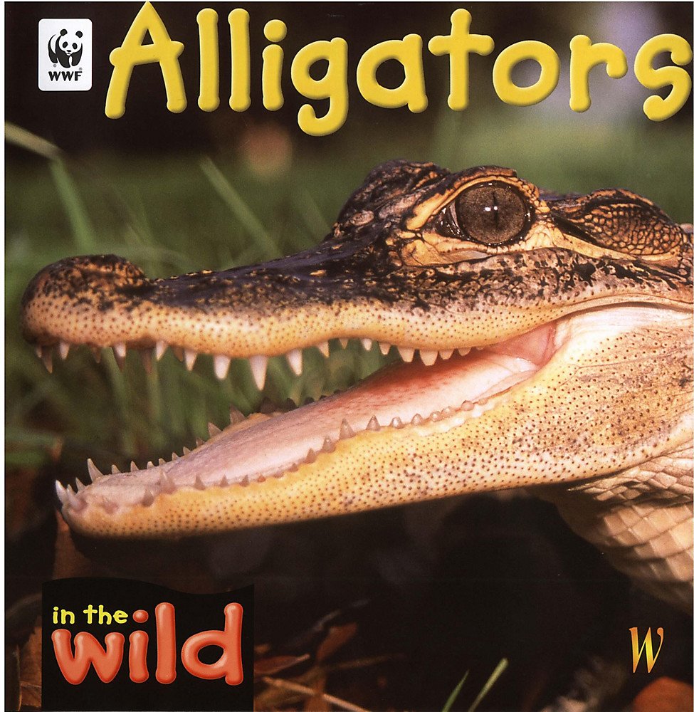 Alligators (In the Wild S.) : Kendell, Patricia: Amazon.co.uk: Books