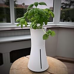 Botanium Indoor Hydroponic Herb and Plant Growing System, Ash Grey ...