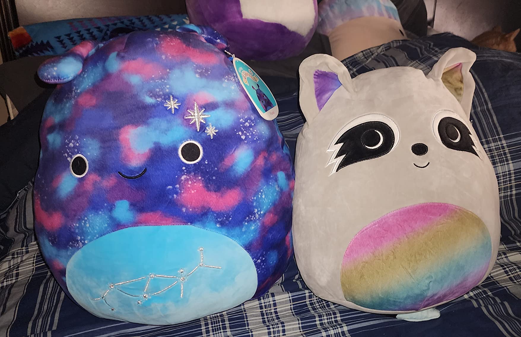 $9/mo - Finance Squishmallows Max The Raccoon 12 inch | Buy Now, Pay Later