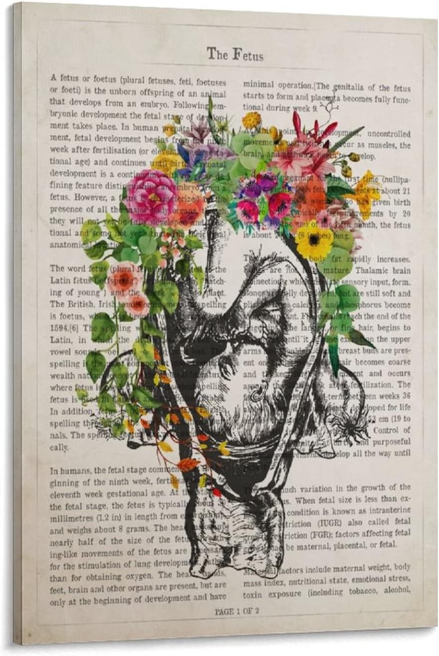 Amazon.com: Sheets of Human Anatomy Fetus in Womb Anatomy Posters ...