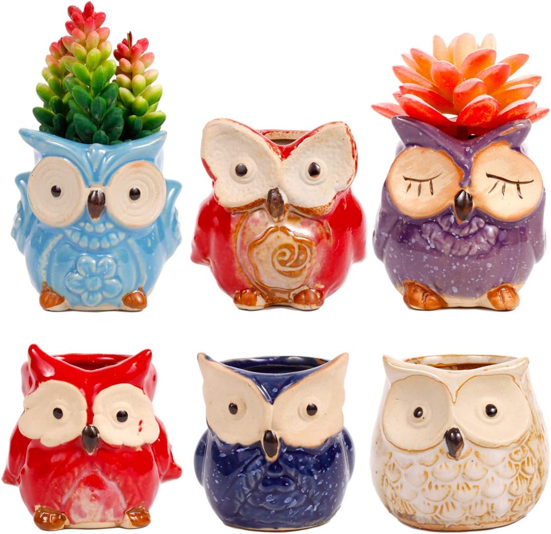 Amazon.com: ROSE CREATE 6 Pcs 3 Inches Owl Pots, Little Ceramic ...