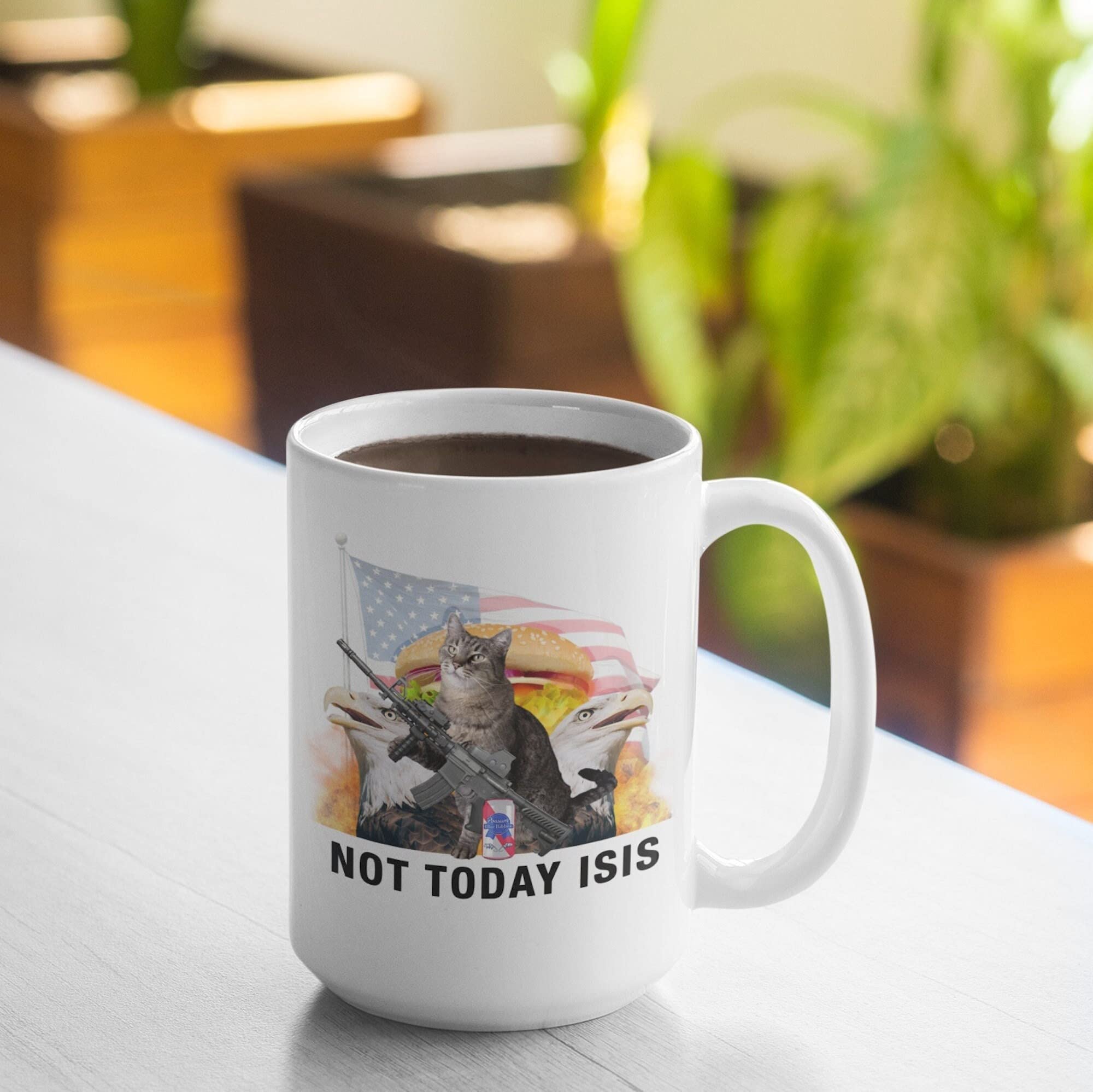 Isis Cat Memes My Cat After Sniffing Another Cat | TikTok