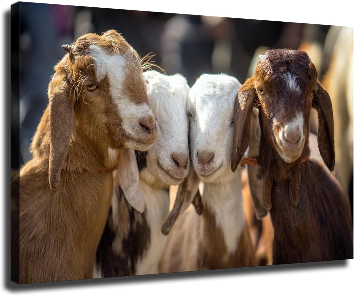 Amazon.com: Four Goat Animals Poster Canvas Print Painting Picture Wall ...