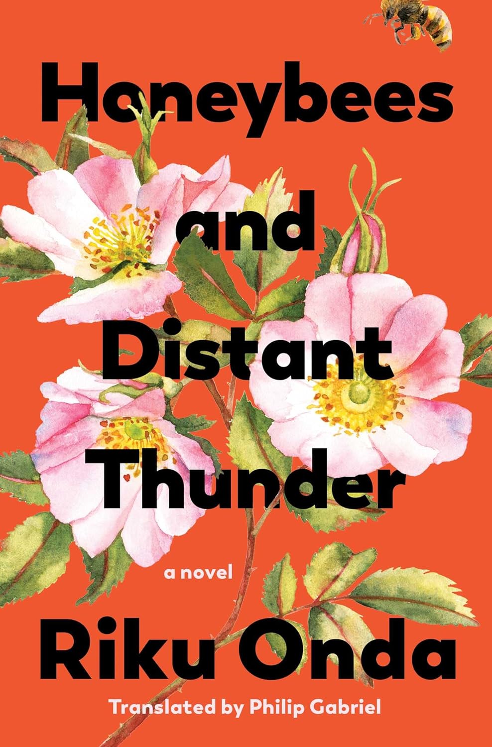 Amazon | Honeybees and Distant Thunder: A Novel | Onda, Riku, Gabriel, Philip | Coming of Age