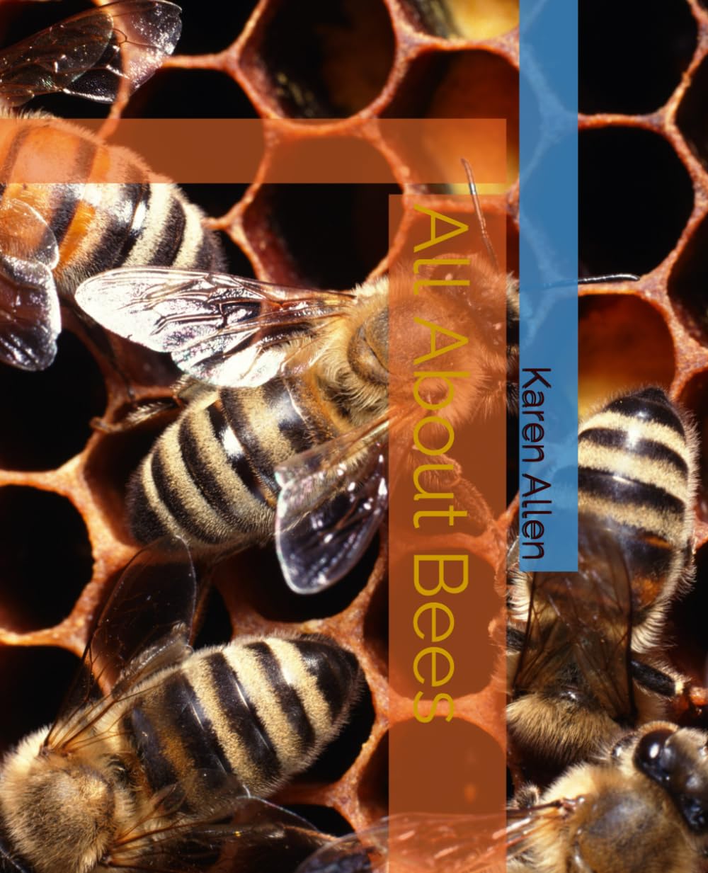All About Bees: Allen, Karen: 9798863301044: Amazon.com: Books