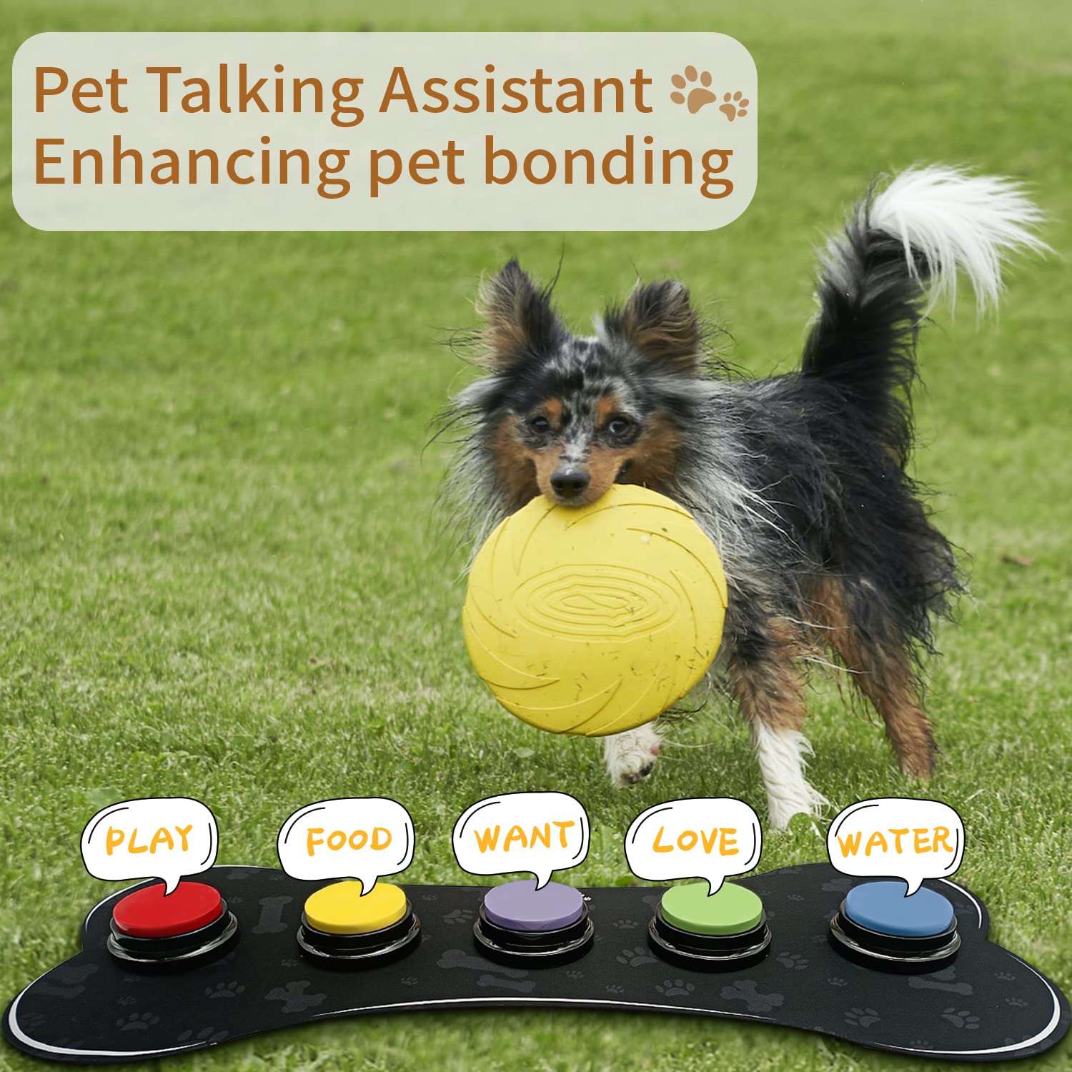 Dog Agility Training Equipment Dog Buttons RIBOSY Set Of 6 Dog Talking ...