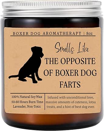 Amazon.com: Smells Like The Opposite of Boxer Dog Farts Candle - Funny ...