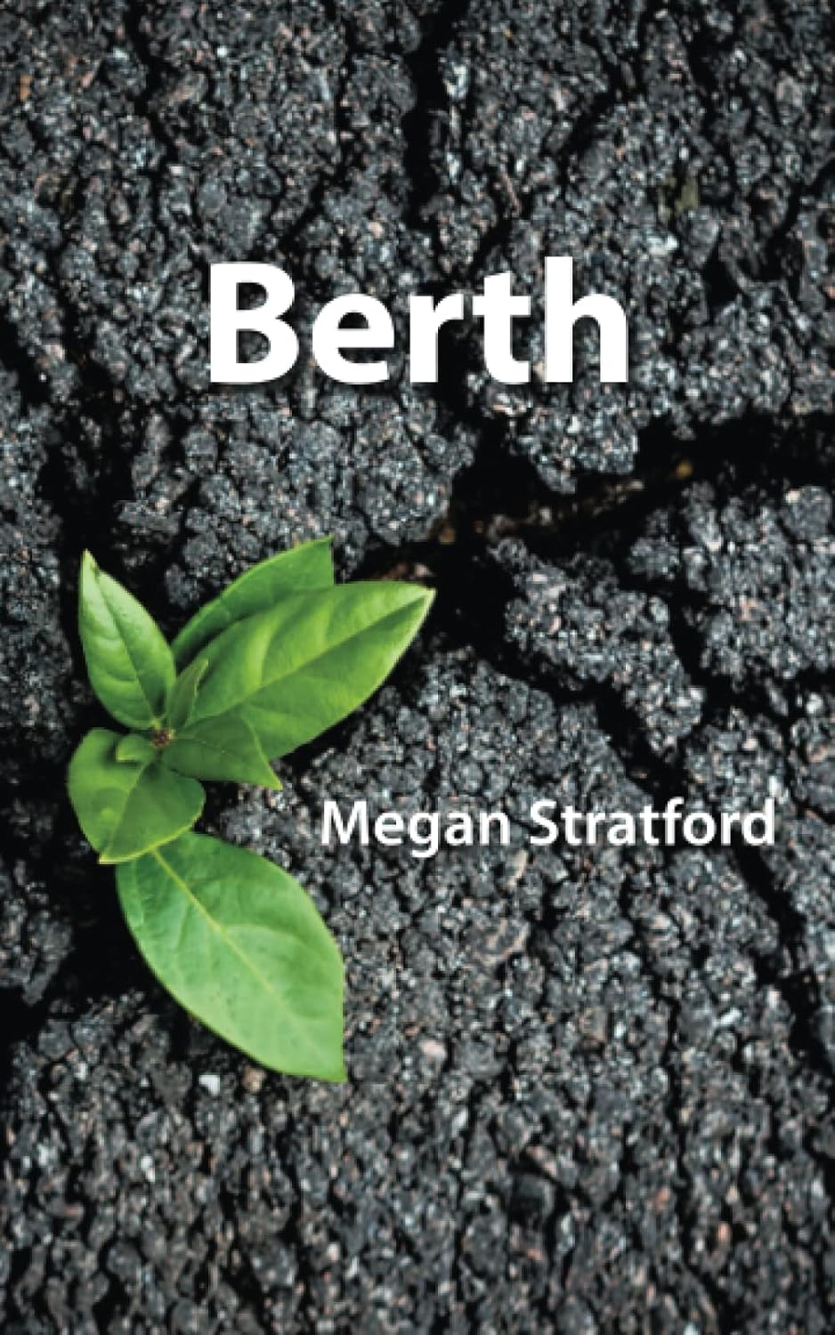 Amazon.com: Berth: 9781942624769: Stratford, Megan: Books