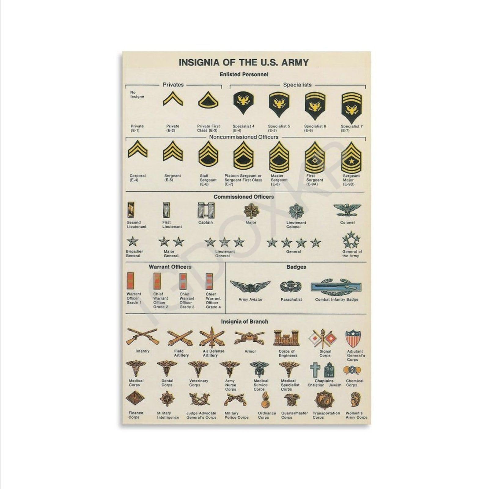 Us Army Rank Chart Printable