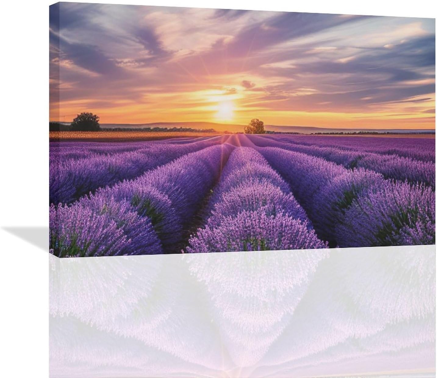 Amazon.com: Large Lavender Wall Art Sunset Big Canvas Living Room ...