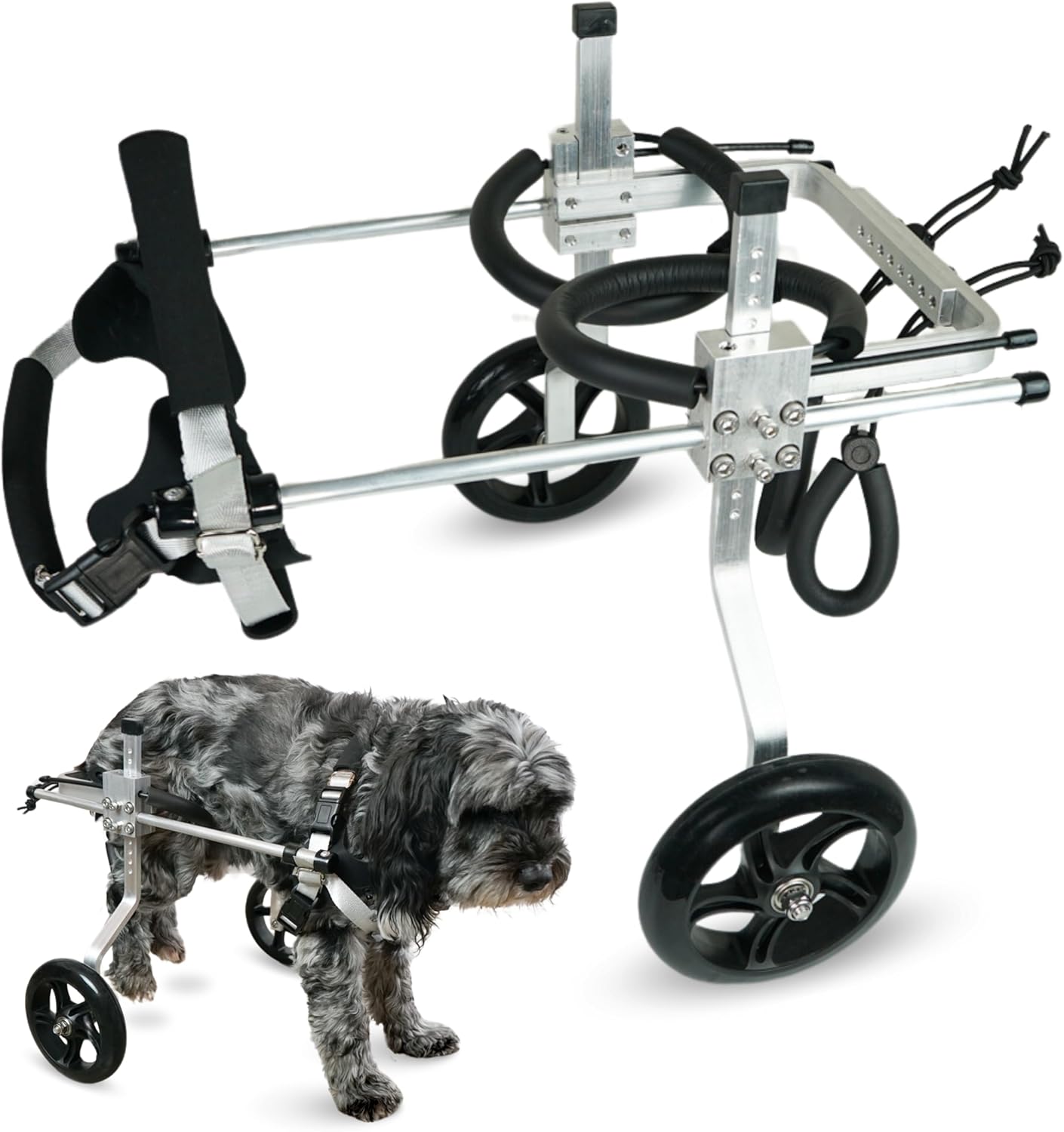 Amazon.com : FurDrive Dog Wheelchair for Back Legs – Small, Medium ...