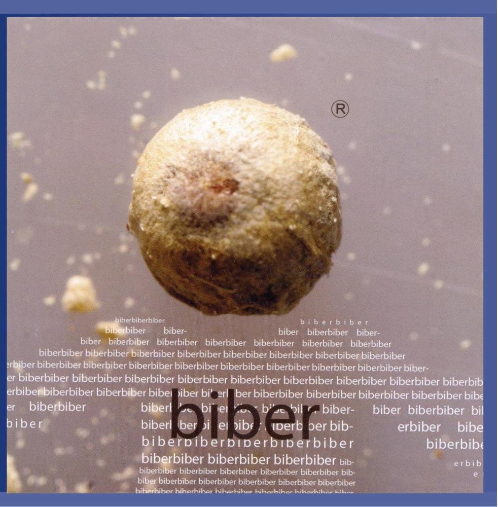 Biber: Amazon.de: Musik-CDs & Vinyl