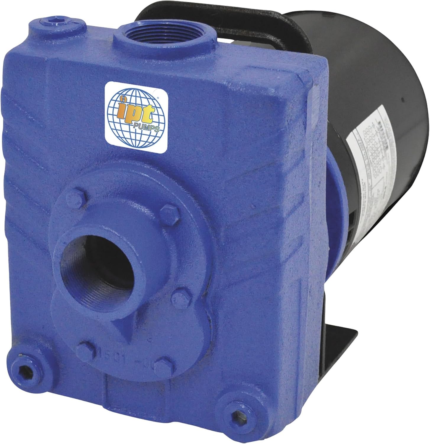 IPT Cast Iron Self-Priming Centrifugal Water Pump - 4,800 GPH, .75 HP ...