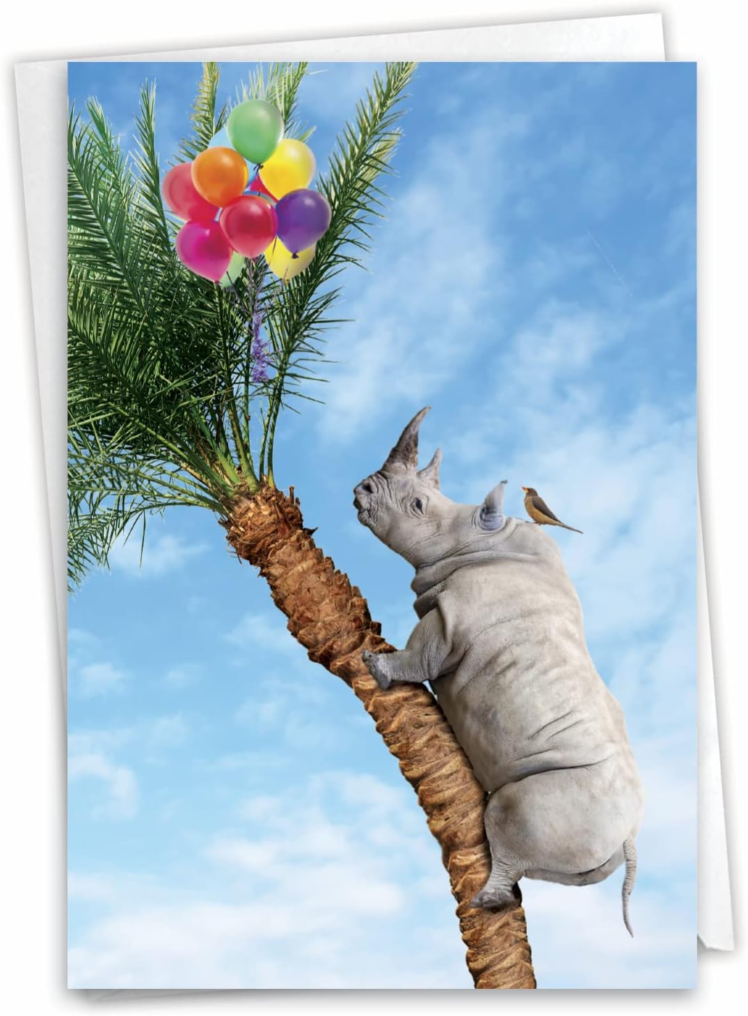 Amazon.com : NobleWorks Congratulations Paper Card with 5 x 7 Inch ...