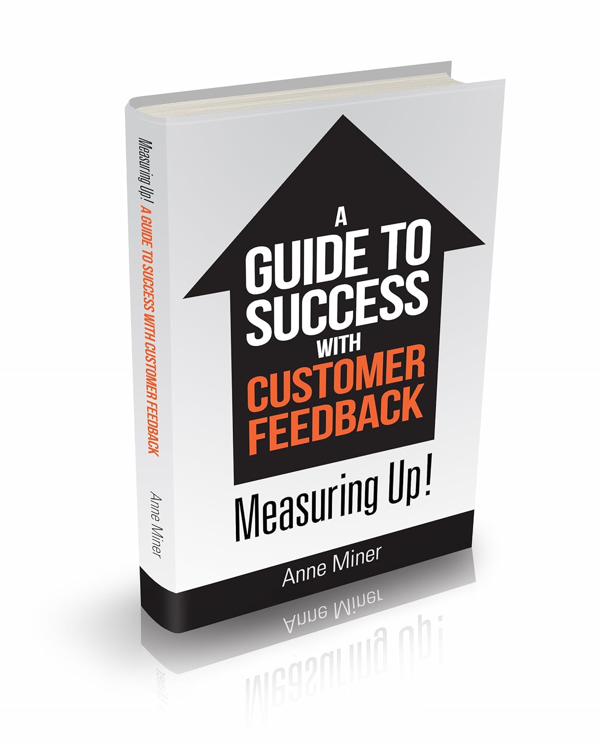Measuring Up! A Guide to Success with Customer Feedback. (Dunvegan B2B ...