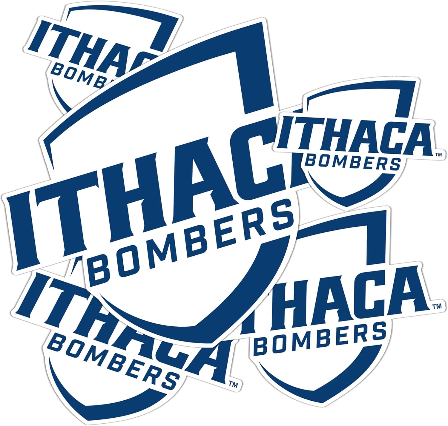 Amazon.com: Desert Cactus Ithaca College Sticker Ithaca Bombers Vinyl ...