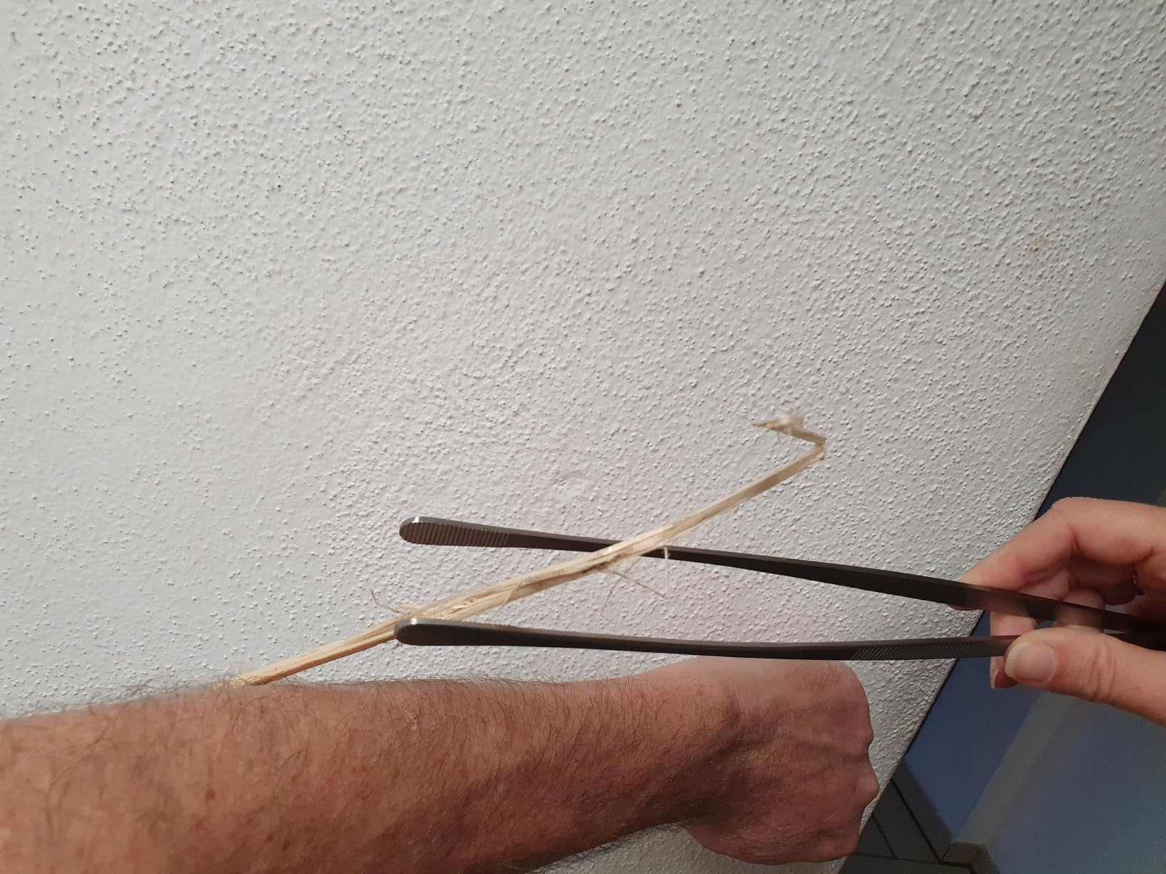 Alfresco Grillzange, 30cm Kochpinzette Edelstahl, Professional Zange ...