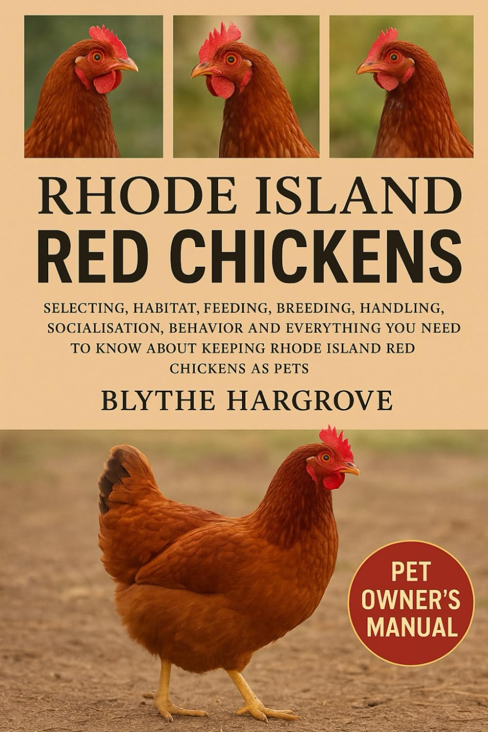 Rhode Island Red Chicken: Selecting, Habitat, Feeding, Breeding ...