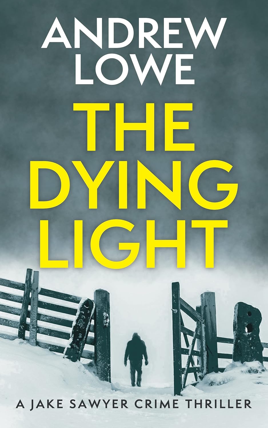 Amazon.com: The Dying Light: A chilling British detective crime ...