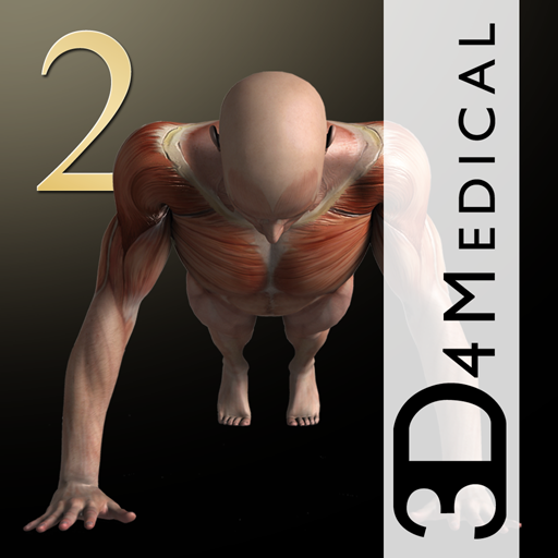 iMuscle 2 - App on Amazon Appstore