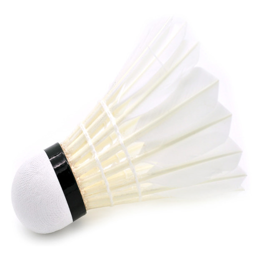 Badminton Match Log - App on Amazon Appstore