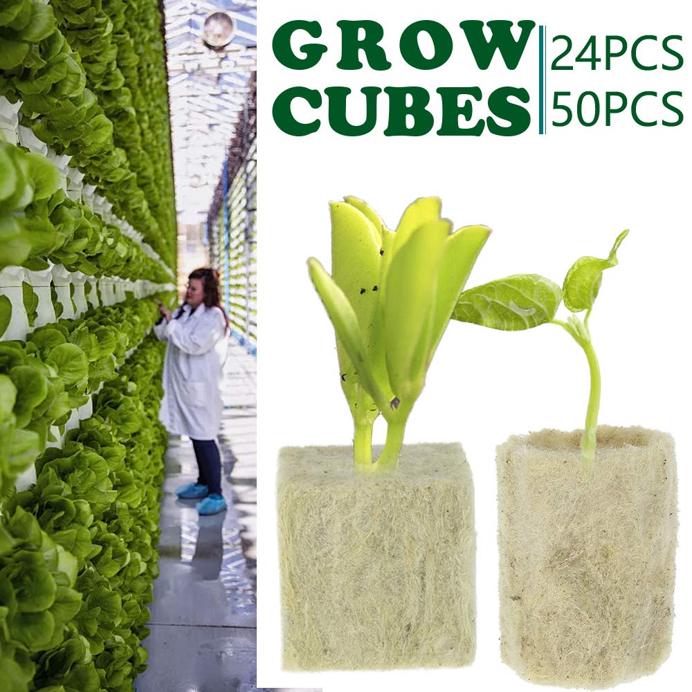 Rooting Powder For Plants 50Pcs Soilles Planting Sponge Grow Garden ...