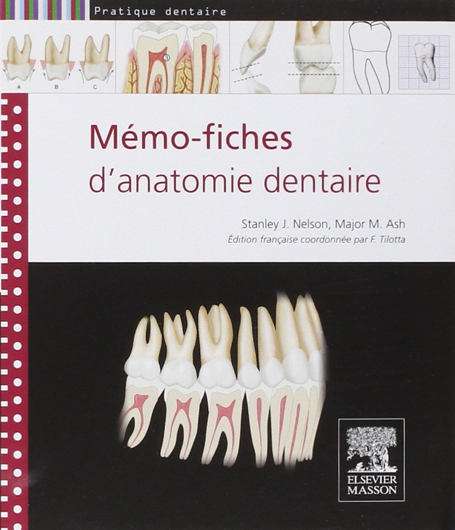 Mémo-fiches d'anatomie dentaire : Nelson, Stanley J, Ash, Major M ...