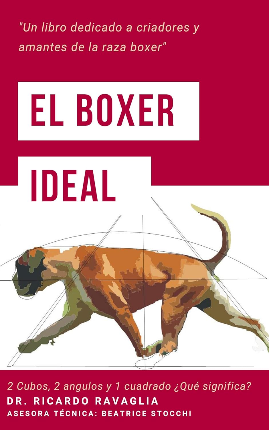 Amazon.com: El Boxer Ideal: Dos cubos, dos ángulos y un cuadrado ...