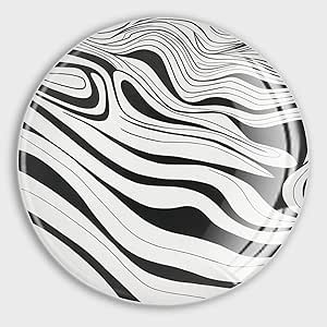 Amazon.com: Authentic African Zebra Strip Print Refrigerator Magnets ...