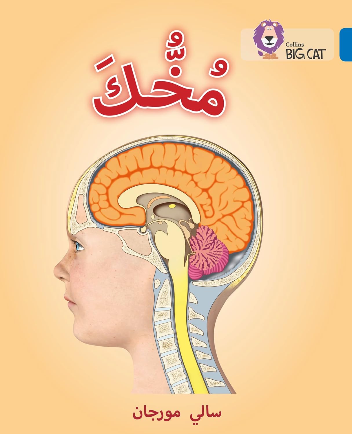 Collins Big Cat Arabic – Your Brain: Level 16 (English and Arabic ...